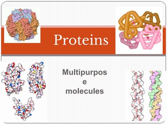 basic understanding about protein structure and classification | PPTX