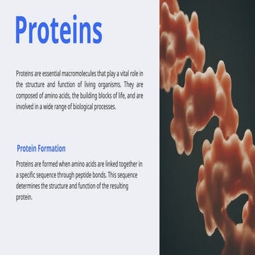 Introduction and fundamental to Proteins | PPT