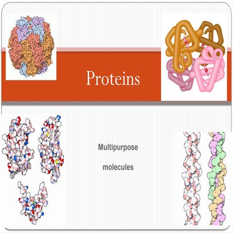 Proteins............................pptx