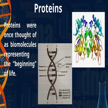 PROTEINS are Large, complex molecules pptx | PPTX