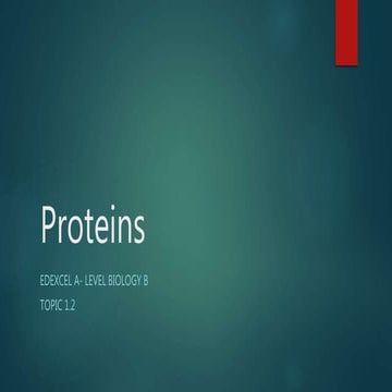Proteins - Edexcel A-Level Biology B Topic 1.2 | PPTX