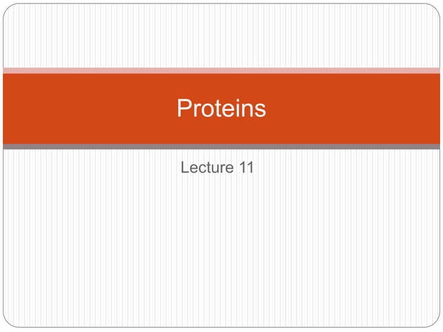 Lesson 11 Proteins | PDF