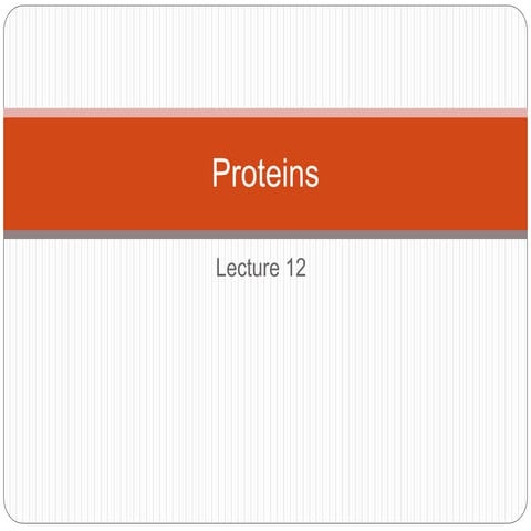 Proteins lecture 12 | PPT | Free Download