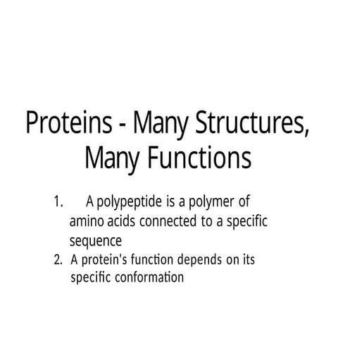 Proteins - Many Structures, 1. A polypeptide is a polymer of amino ...