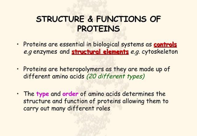 BIOMOLECULES Class XI Chemistry CBSE.pptx