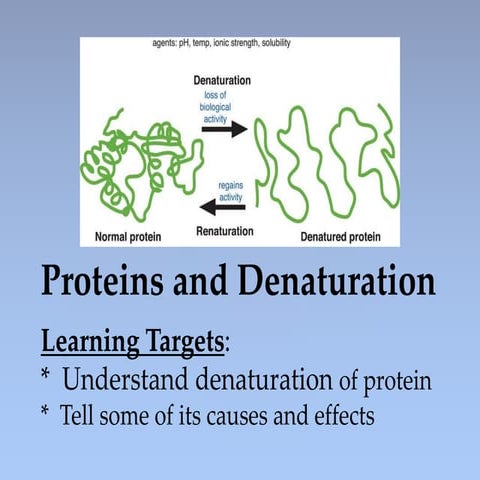 PROTEIN DENATURATION | PPTX