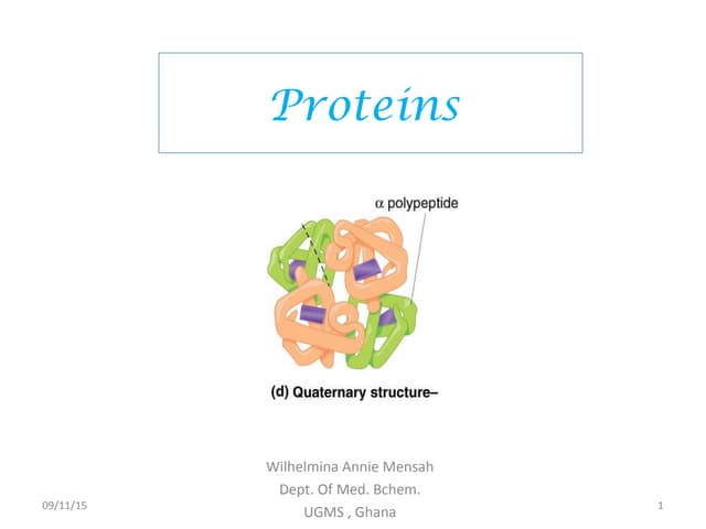 Lesson 11 Proteins | PDF