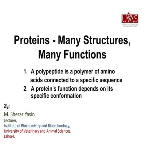 Protein structure and disease | PPTX