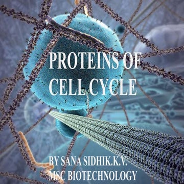 Cell Cycle Regulation Ppt Pptx