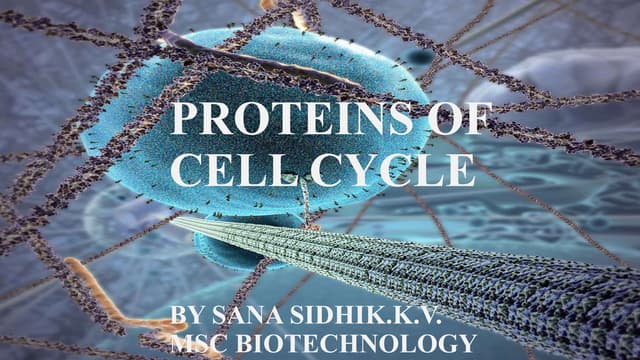 Cell cycle regulation ppt | PPTX