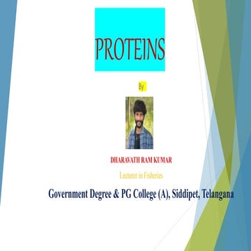 Proteins | PPTX