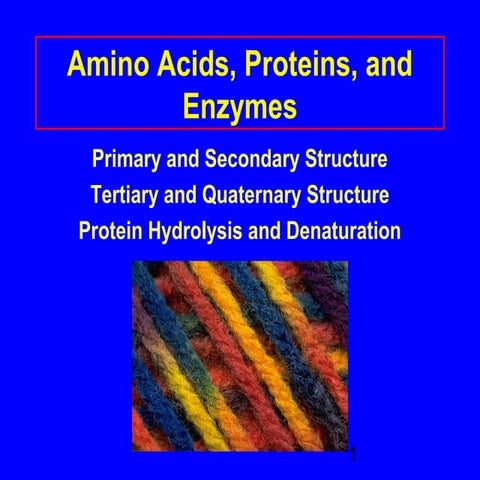 Protein structure | PPT