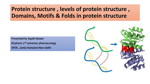 Protein Folding-biophysical and cellular aspects, protein denaturation | PDF