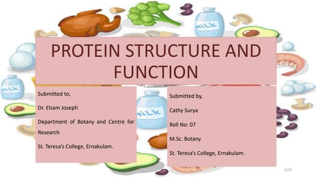 Primary and Secondary Structure of Protein | PPTX