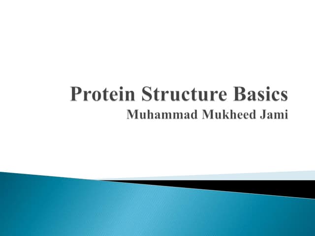 Protein structure visualization tools-RASMOL | DOCX