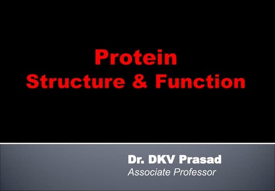 Protein structure: details | PPTX