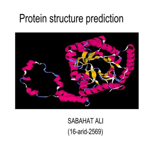 Protein structure prediction (1) | PPT