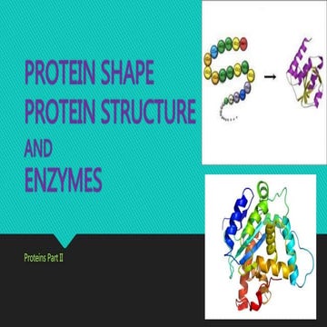 Protein structure and shape, Denaturation and Enzymes | PPTX