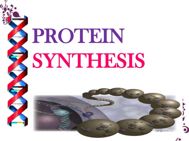 Gene and protein, protein synthesis | PPTX