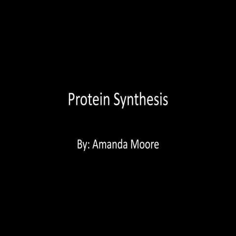 Proteinsynthesis | PPT