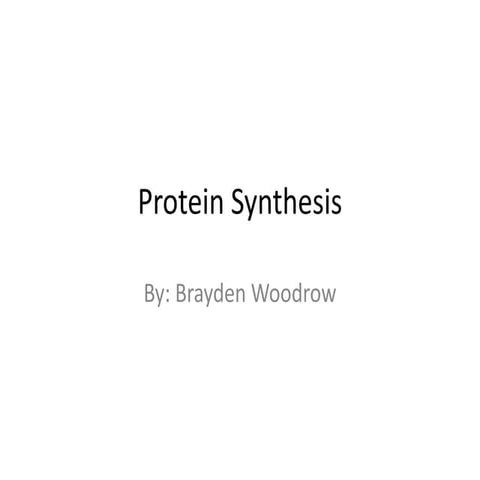 BWoodrow Protein Synthesis Flip Book | PPTX