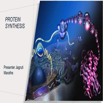 Protein Synthesis.pptx