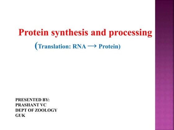 Gene Expression: Translation | PPT