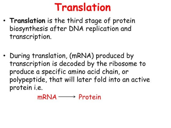 Translation in prokaryotes | PPTX