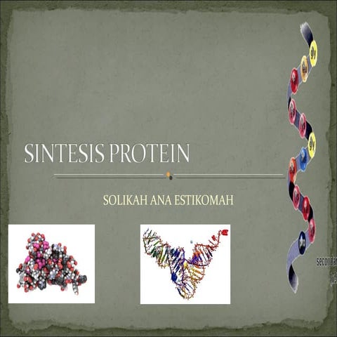 Protein Synthesis | PPT