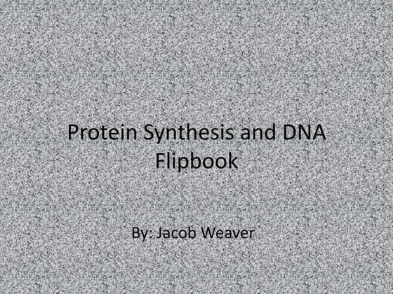 proteinsynthesis.shayna.dicker | PPT