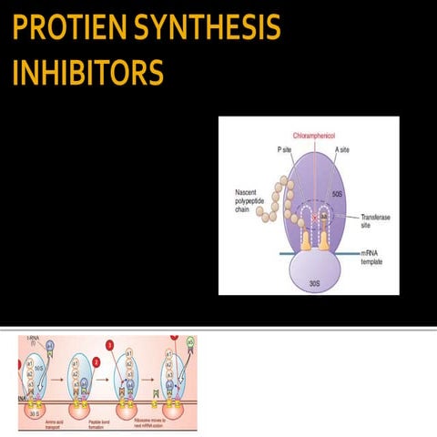 Protein synthesis inhibitors | PPT