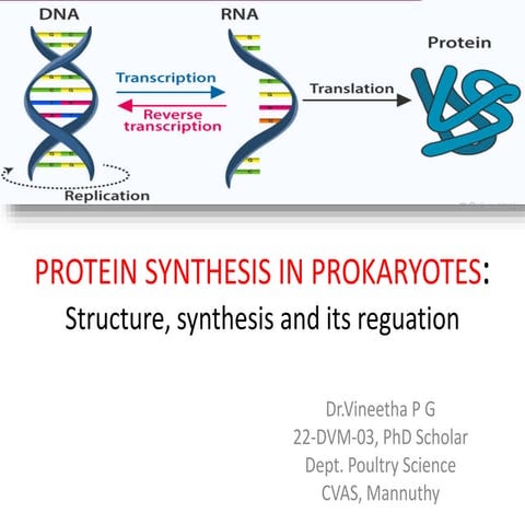protein synthesis in prokaryotes.pptx