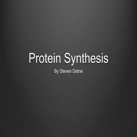 Protein synthesis model | PPT