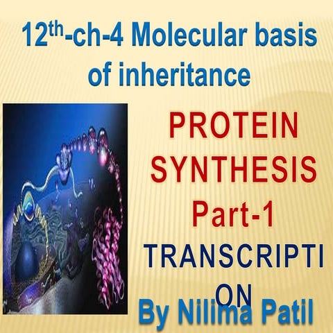 Molecular basis of inheritance-Protein synthesis part 1 ...