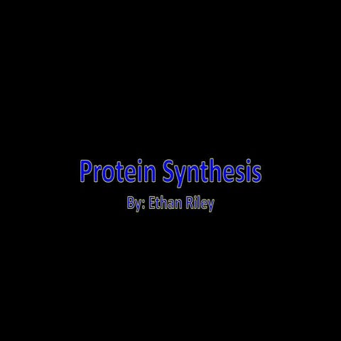 Protein synthesis project | PPT