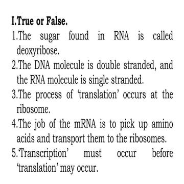 Grade 10 Quarter 4 Protein Synthesis Quiz.pptx