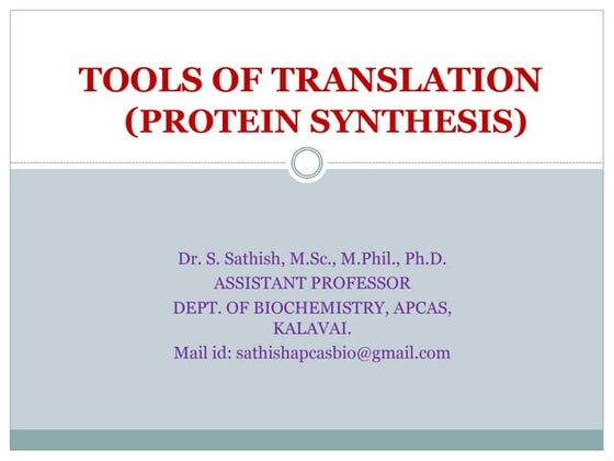Protein synthesis(translation) | PPTX | Programming Languages | Computing