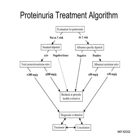 Proteinuria treatment algorithm | PPT