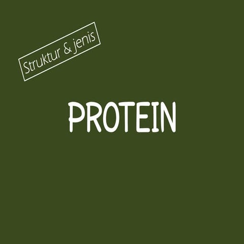 Protein | PDF