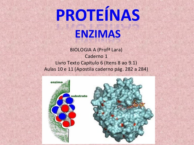 Proteínas enzimas