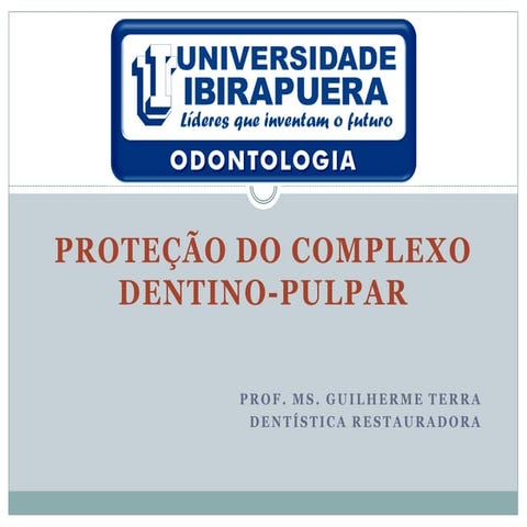 Aula2, Elementos constituintes das ppr´s.pptx