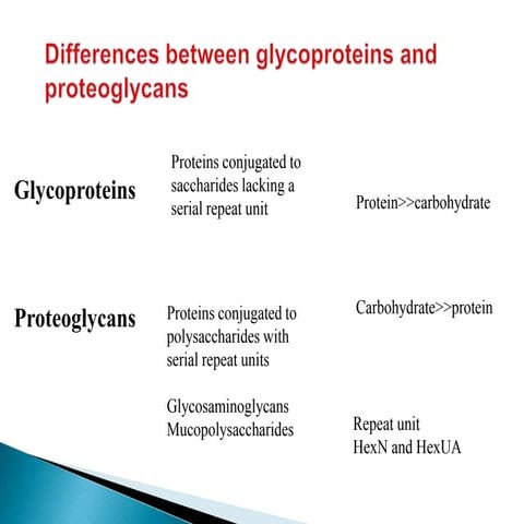 Glycosaminoglycans | PPTX