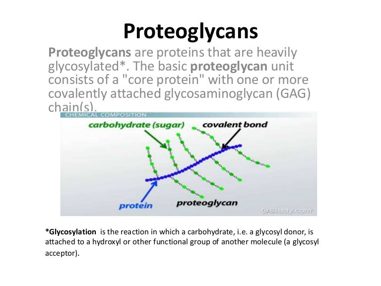Proteoglycans