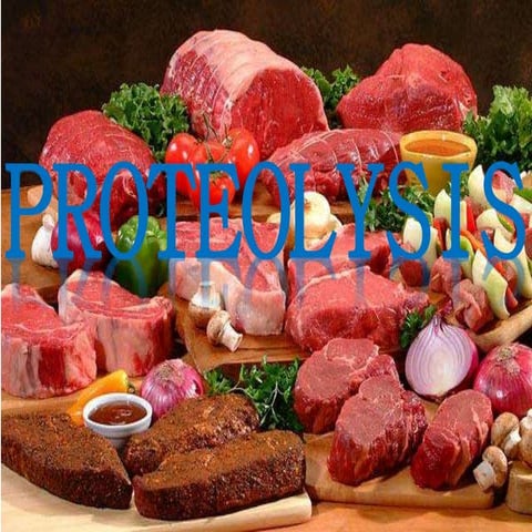 Proteolysis | PPTX