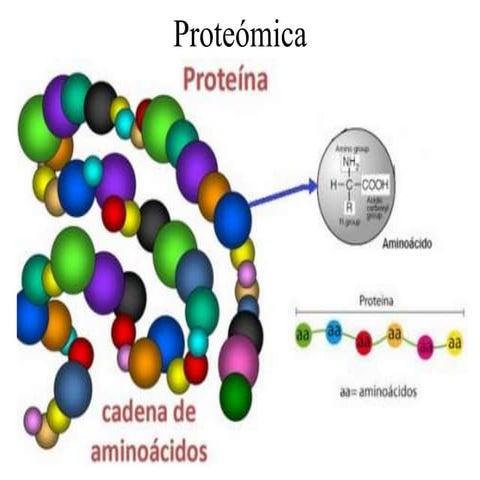 Proteomica.ppt