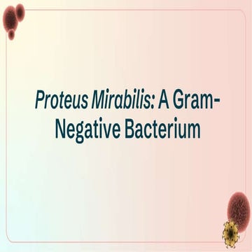 Proteus spp lecture | PPTX