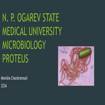Proteus microbiology topic bacteria ppt. | PPTX