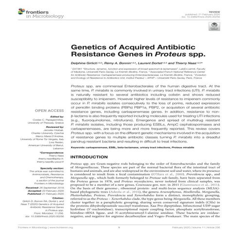 Proteus spp lecture | PPTX