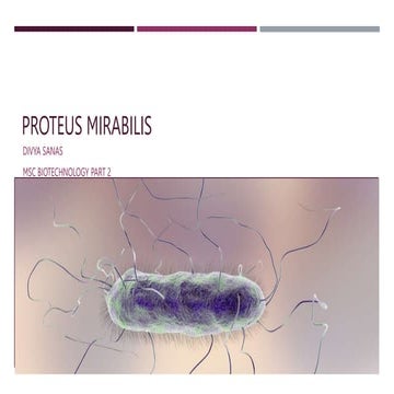 Proteus Mirabilis.pptx