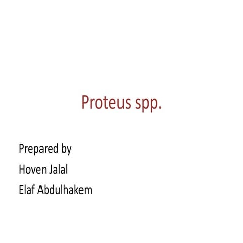 Proteus Spp Lecture Proteus Spp 2 Ppt